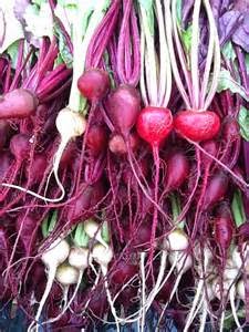 Victory Garden on the Golf Course: All about beautiful beets