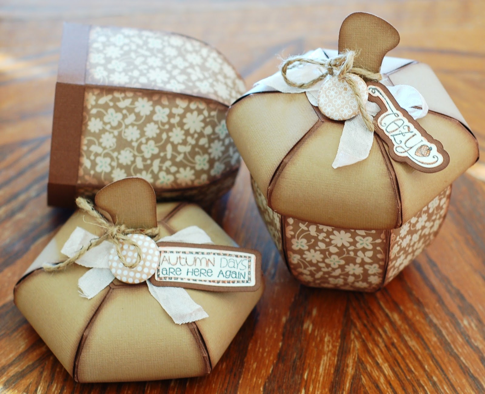 Paper Creations by Kristin: 3D Acorn box
