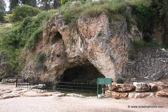 Travel | Flowers in Israel: Harod Spring (Ma'ayan Harod) National Park ...