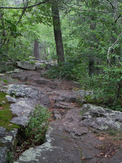 Appalachian Fun and Living: Appalachian Hiking at Backbone Rock, Virginia
