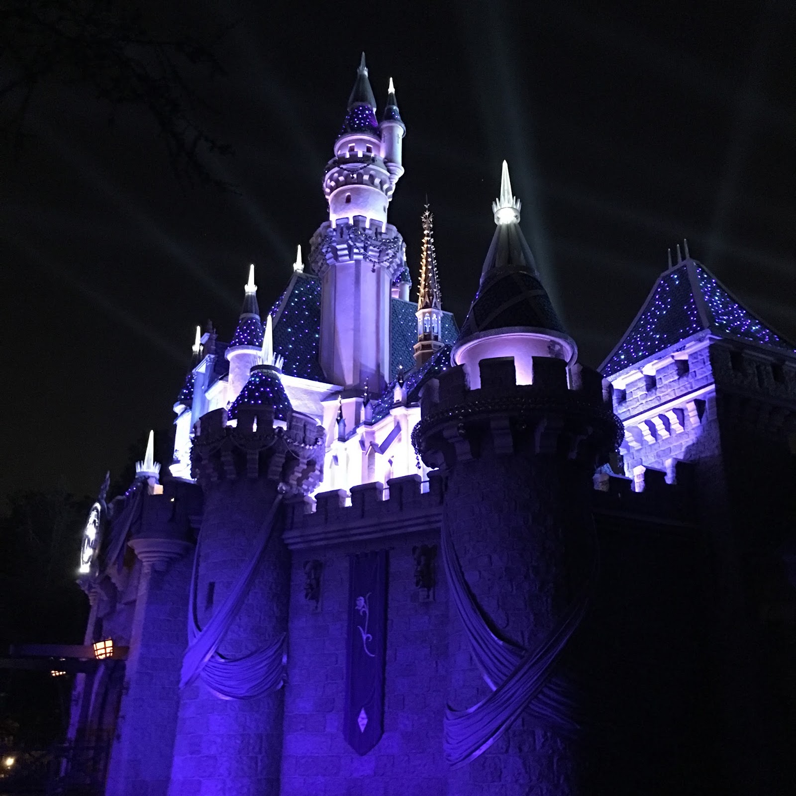 The Peterson Pickle Jar: Full Moon Fun at Disneyland