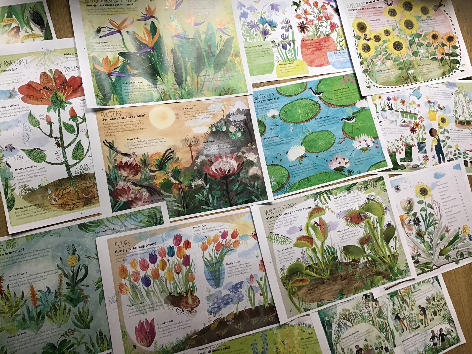 Let's Talk Picture Books: Let's Talk Illustrators #144: Yuval Zommer