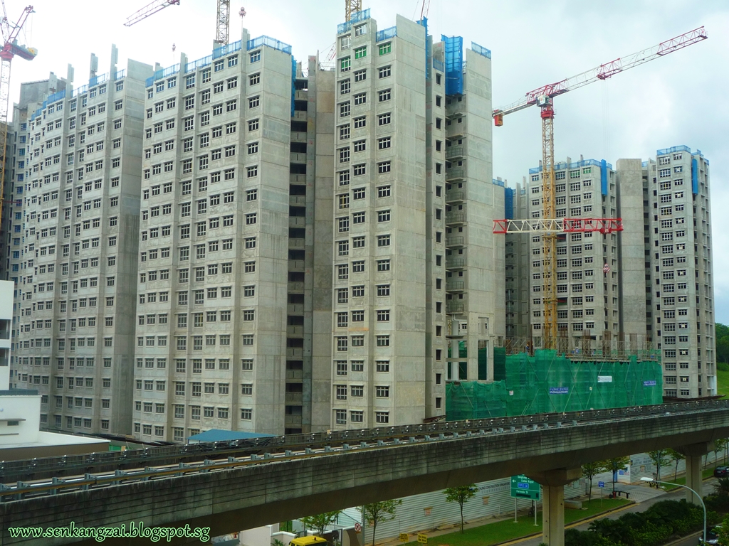 Zai@Sengkang: Fernvale Flora (Completed)