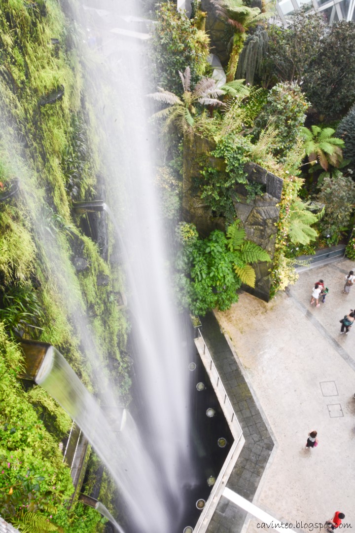 Entree Kibbles: Cloud Forest in 2017 @ Gardens by the Bay [Singapore]