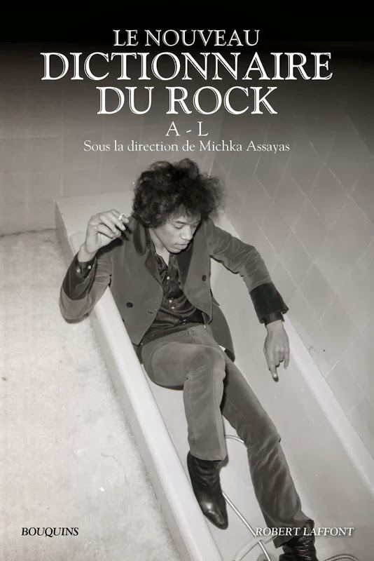 aurayoncd: ♫ NOUVEAU DICTIONNAIRE DU ROCK : LES COUVERTURES