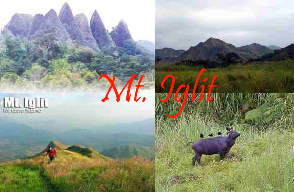 Tourists Destinations in the Philippines: Mt. Iglit Baco