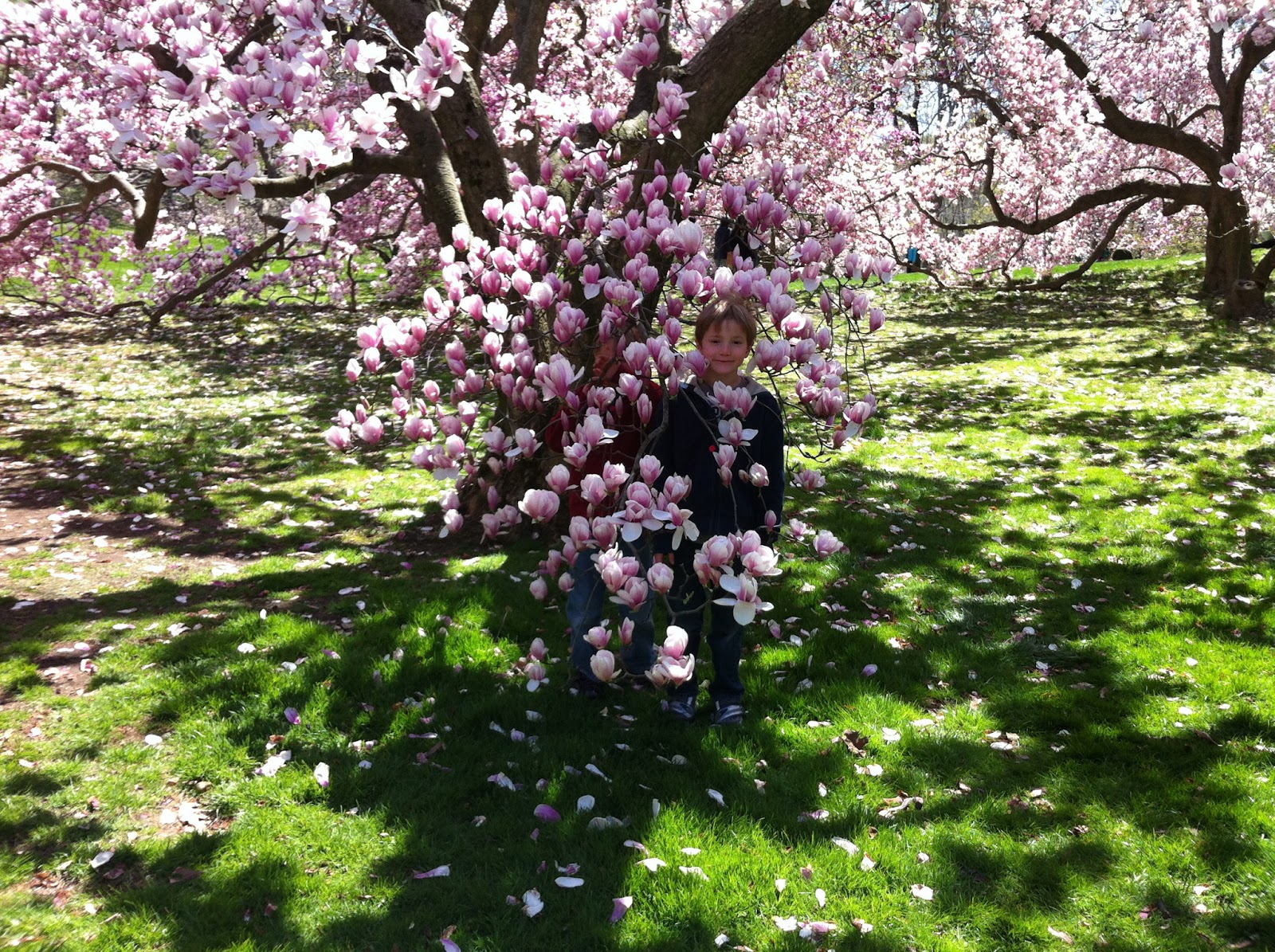 From The Valley To The Palais: Spring at the NYBG: a pictorial post