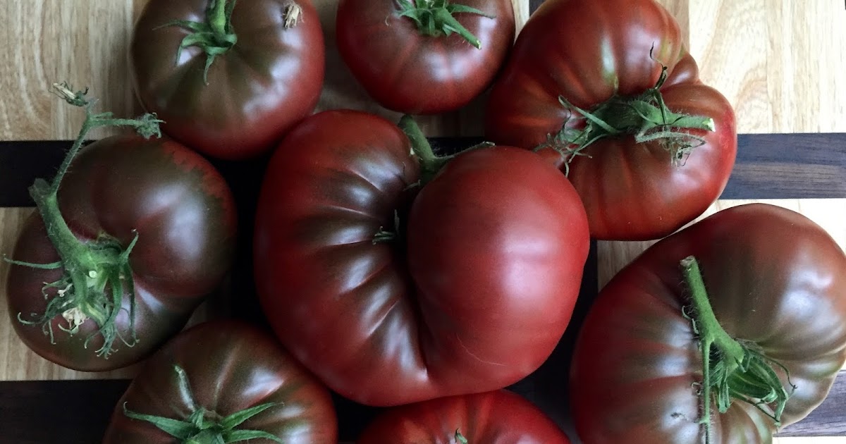 Red House Garden: The Quest for the Best Tasting Tomato