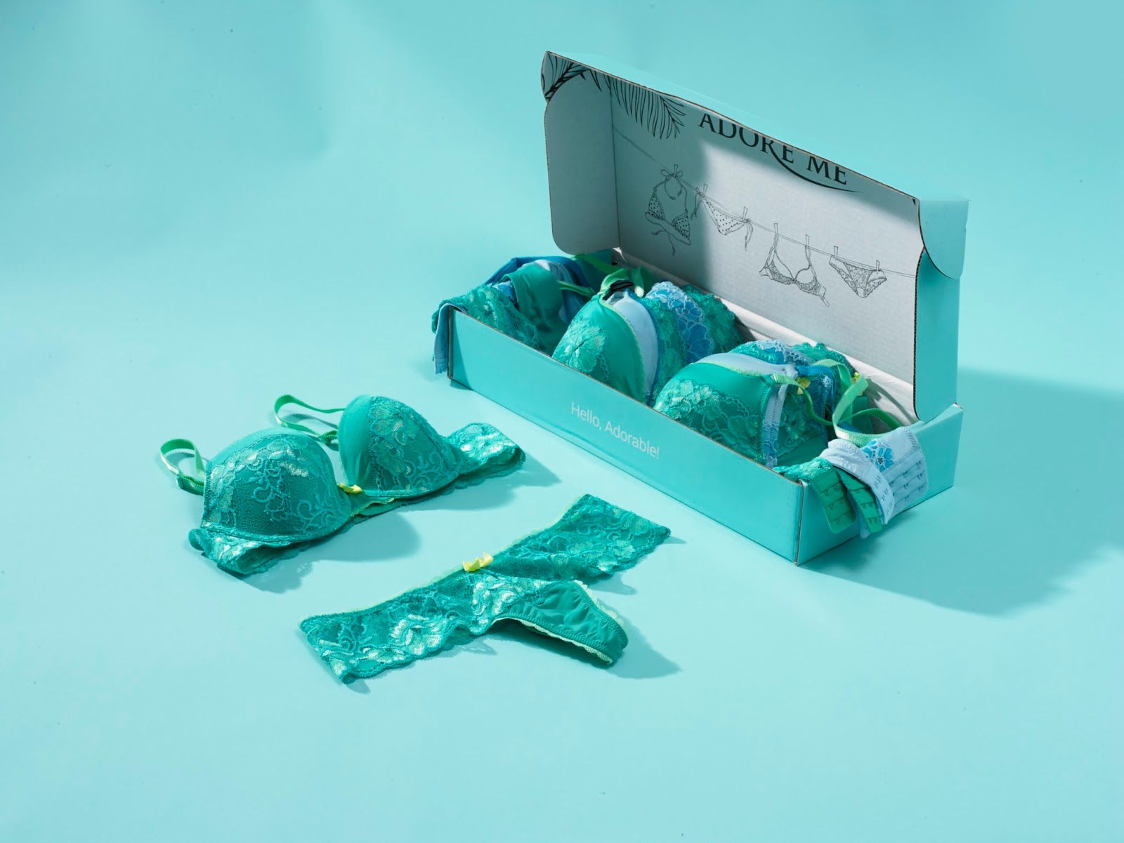 Adore Me Media: February 2016