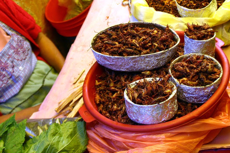 Diversidad De Culturas : Gastronomía de los zapotecas