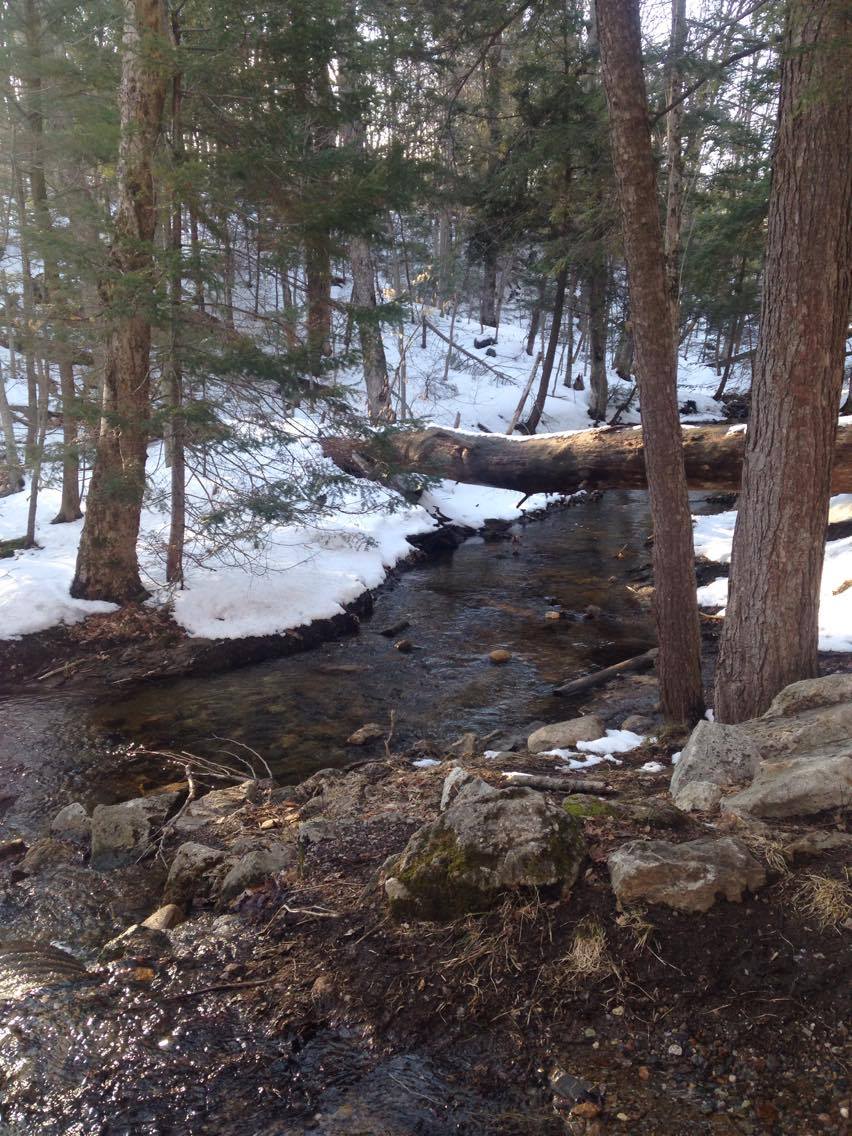 The Hippy Hiker: Hiking Gatineau Park - Waterfall trail