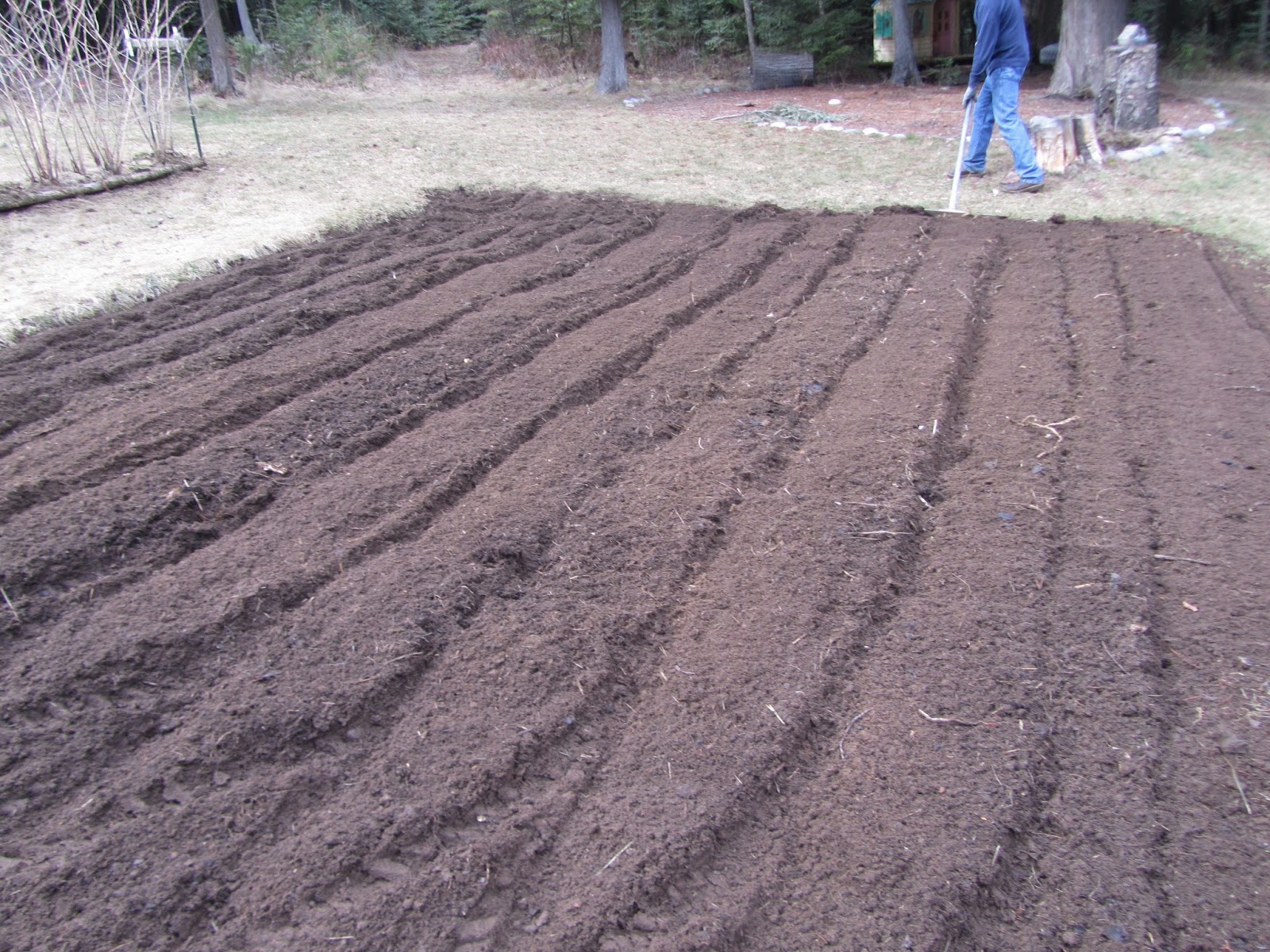 Jen & the Bean stalk: Turning Soil