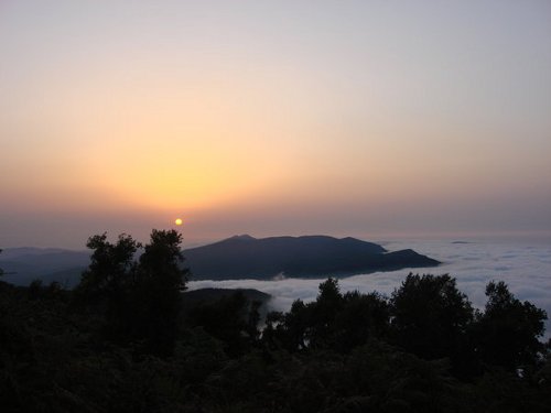 Beauty of Seraidi In Algeria | In Algeria