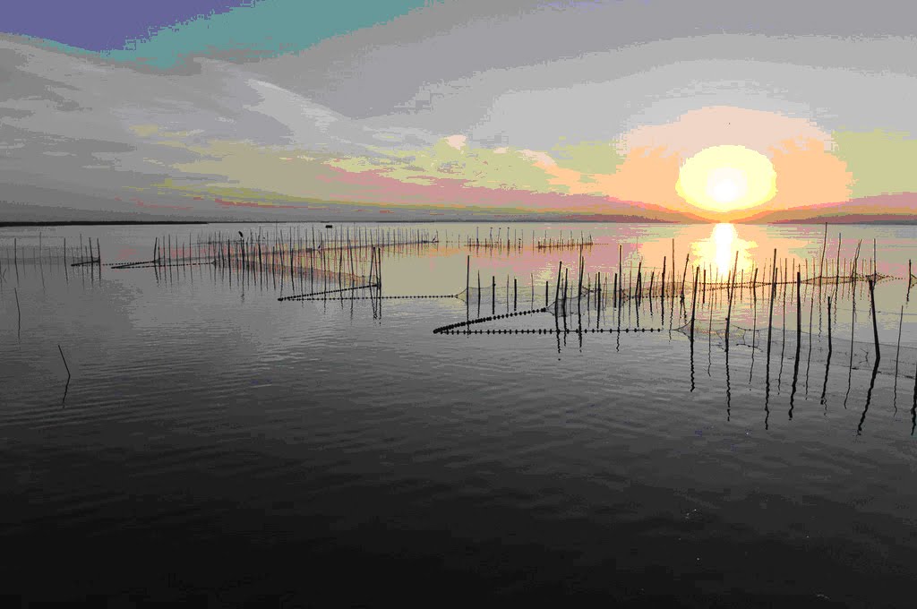 La Albufera ~ Jardinería y Paisajismo. (paisajismo sostenible)