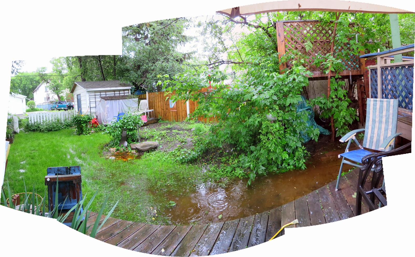 Gerald Saul: Soggy backyard Gerald Saul: Soggy backyard