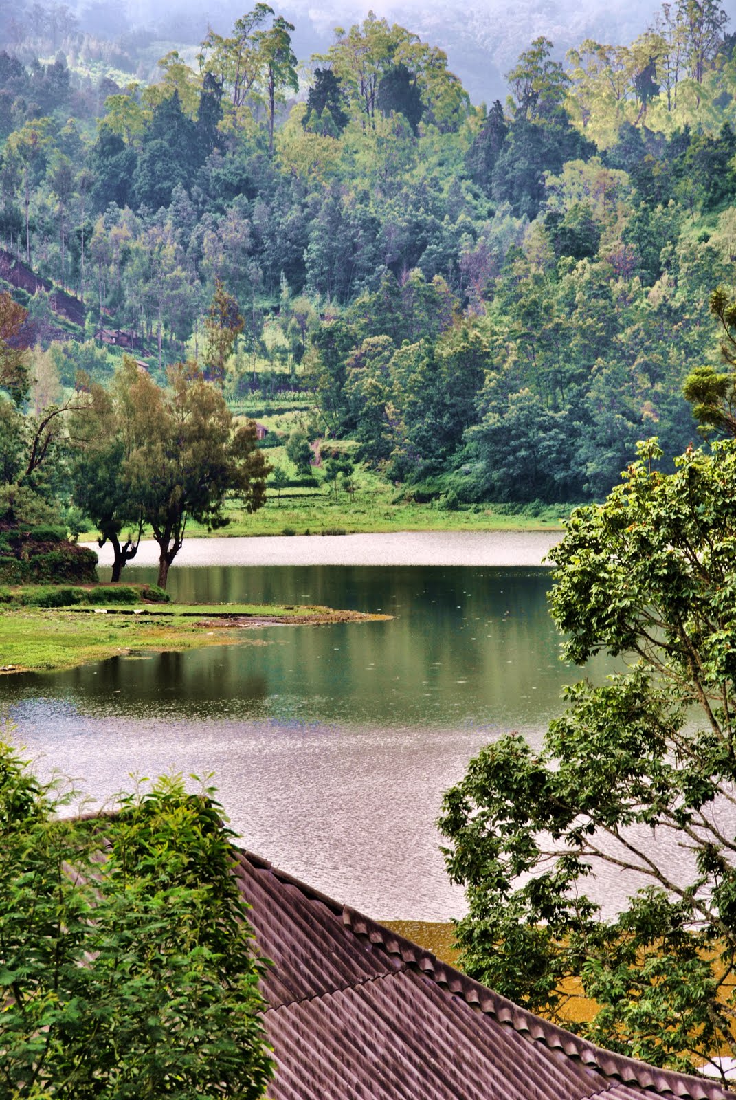 Arts Photographer: Ranu Regulo