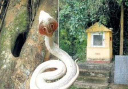 RearGate: පුනර්භව පර්යේෂකයෙක් වෙන ආකාරය... (ස්වයං රැකියා අත්වැල - 01 කොටස)