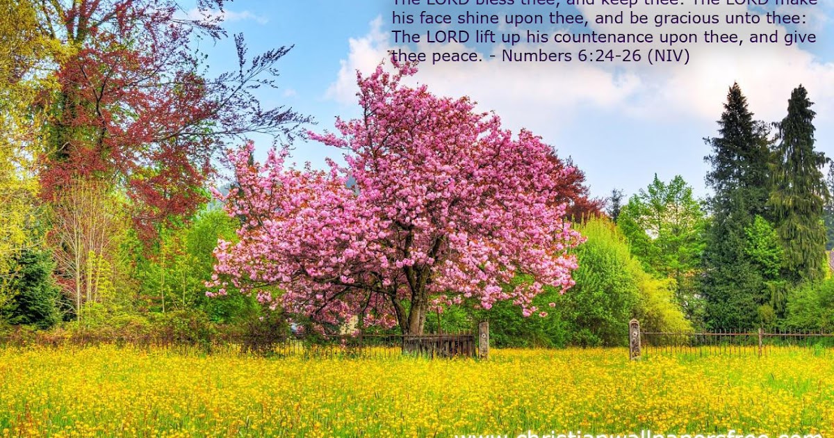 Download HD Christmas & New Year 2018 Bible Verse Greetings Card ...