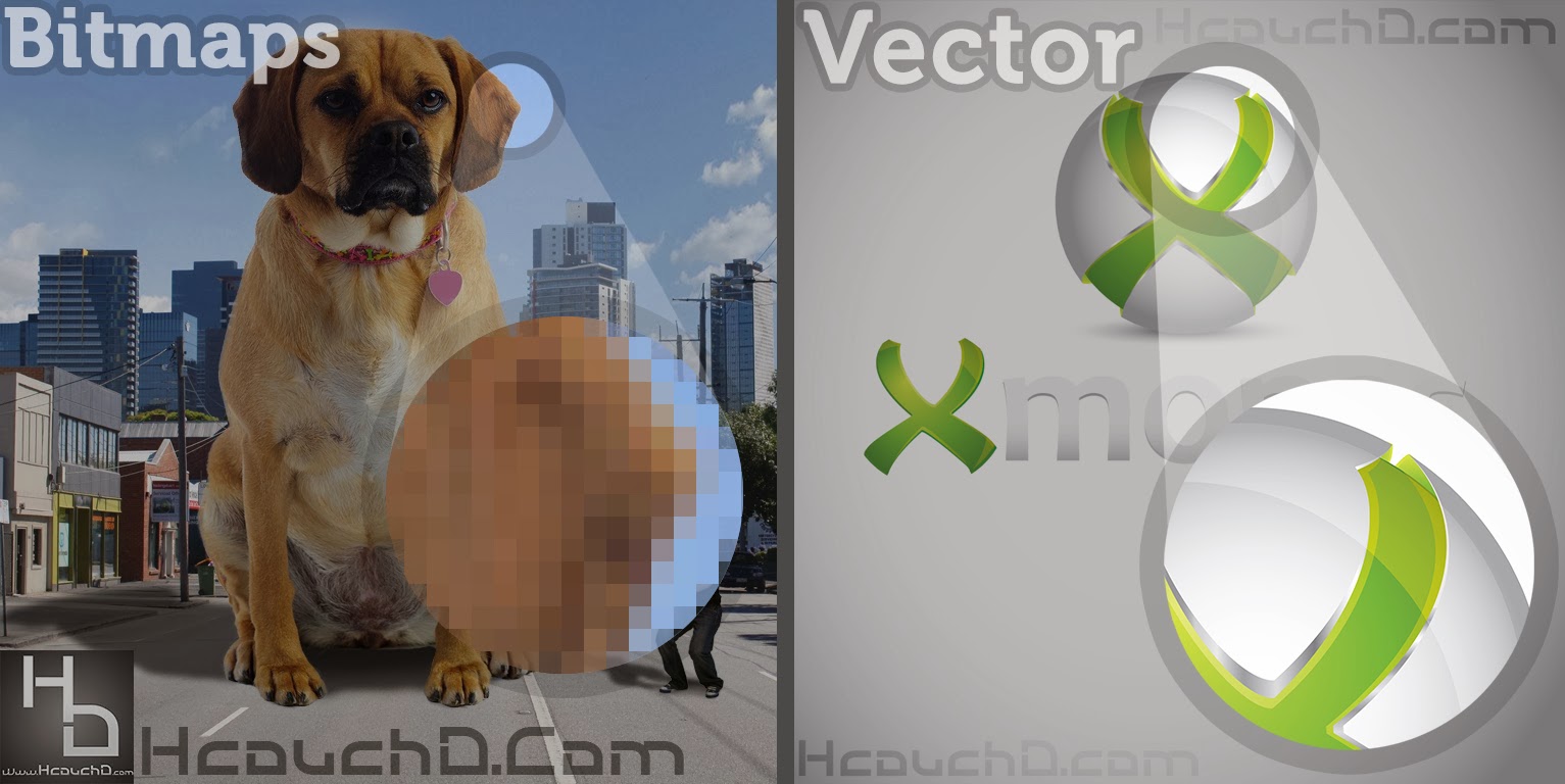 الفرق بين Vector ( رسوم متجهية ) و Bitmap ( صور نقطية ) | اشكوش ديجيتال | Hcouch Digital