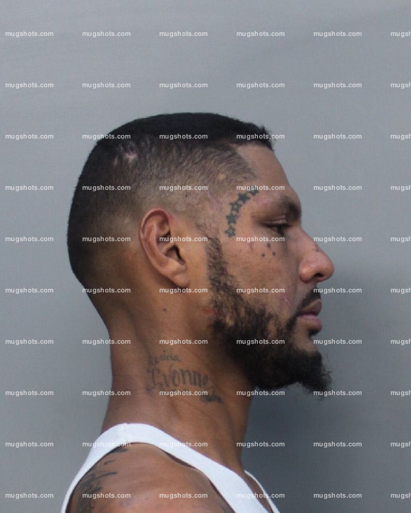 Miami Dade Florida Mugshots: Mugshot Joe Frank Vincente