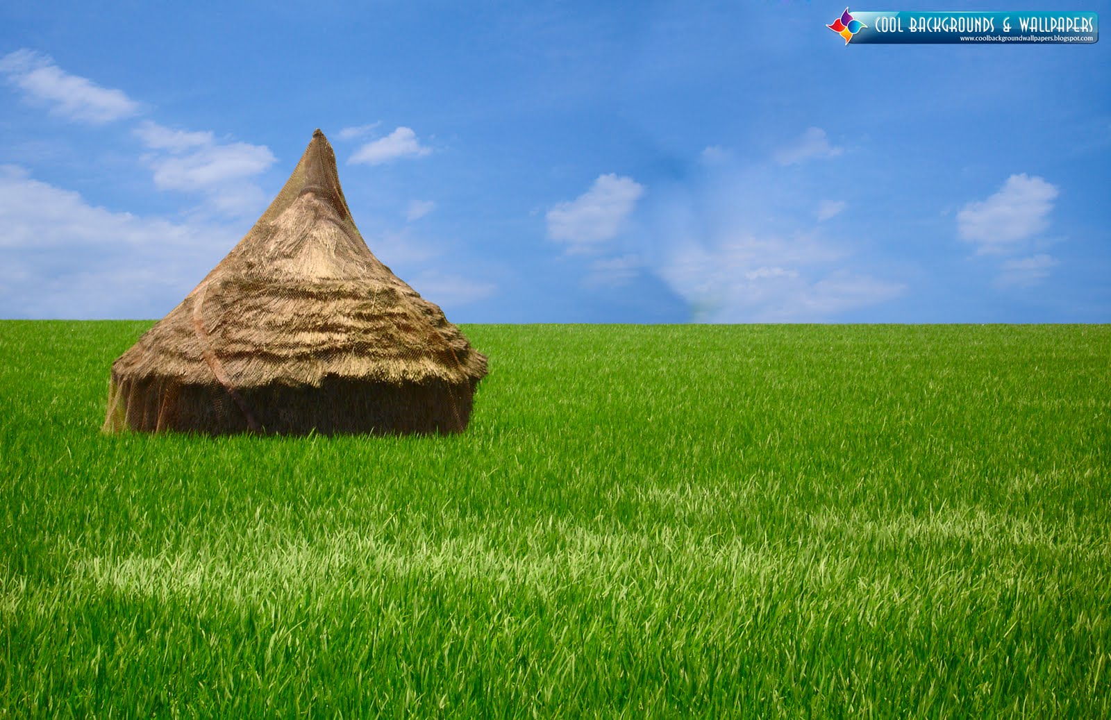 Wallpapers And Backgrounds: Rice Farming HD Wallpapers