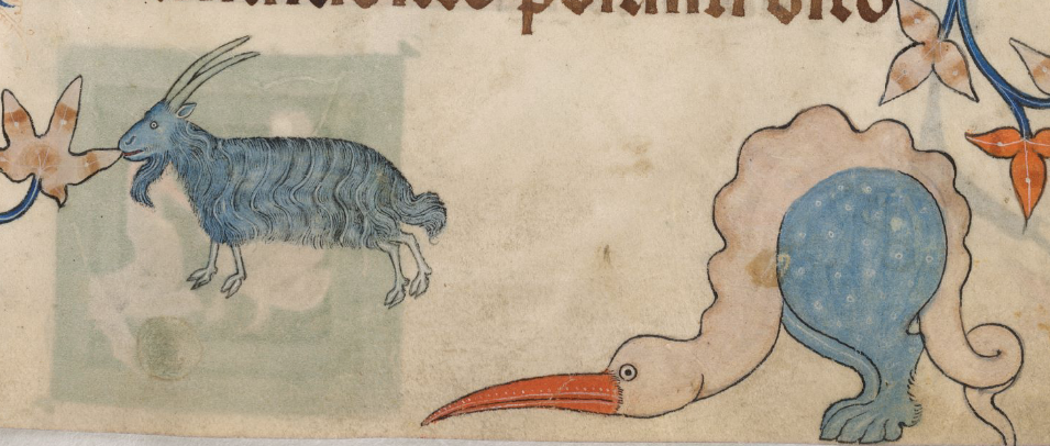 Medieval Codes : 25 best from the Luttrell Psalter