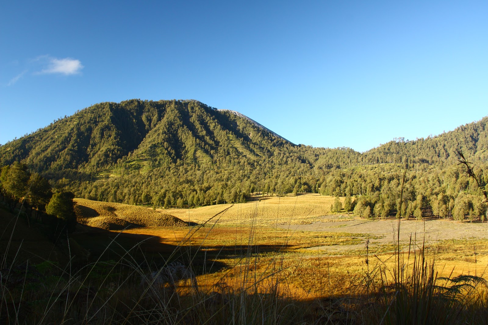 OURTRIP1st - Indonesia Tourism Services: SEMERU SUMMIT TRAIL