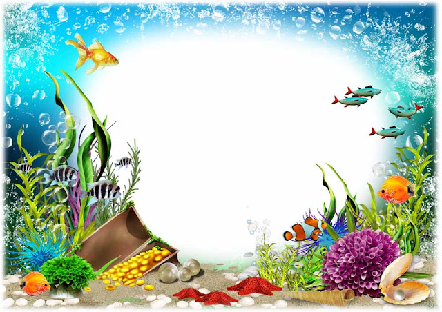 marine frames | ulxa frame