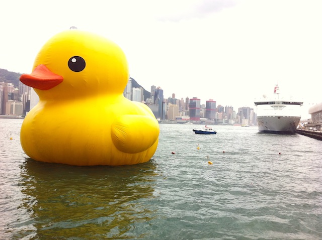 Laurentdasie: Un drôle de canard