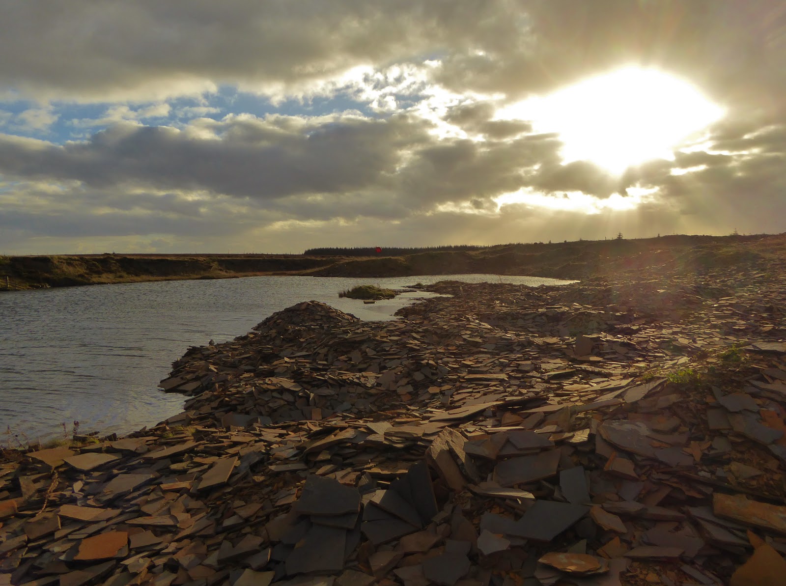 Big Gorse Bush: Fossil Hunting at Achanarras Quarry, Caithness
