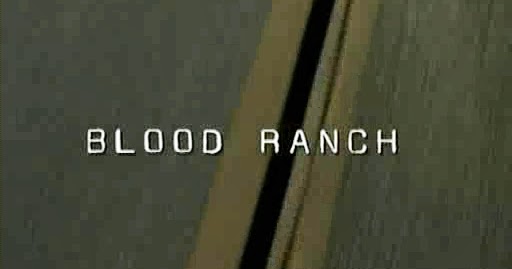 Sticky Red: A Bodycount Compendium: A Family that Fails Together: Blood ...