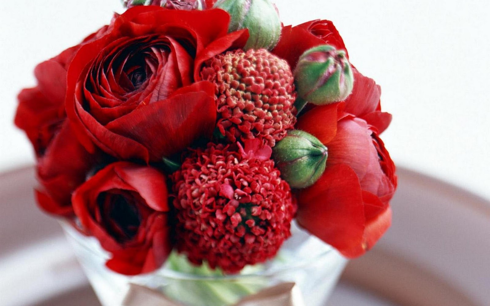 Flores rojas wallpapers