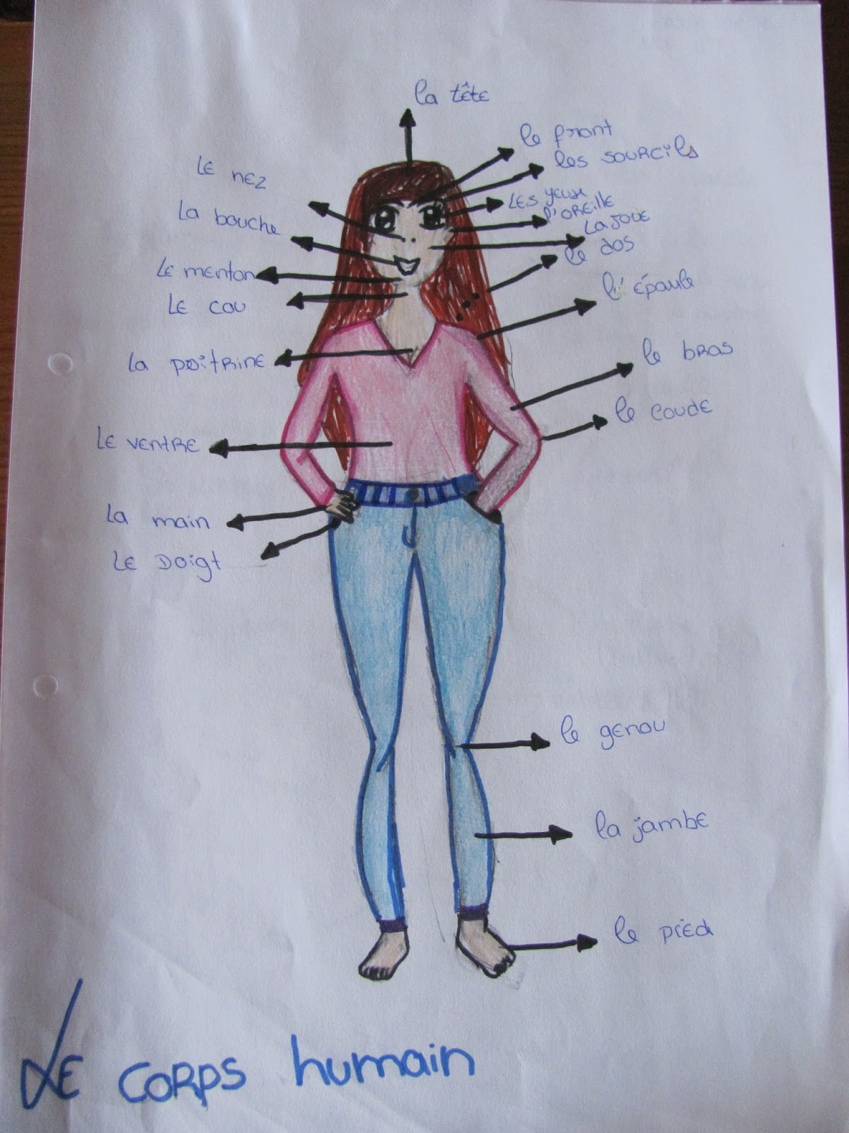 Le corps humain et le visage - vocabulaire - travaux réalisés par mes ...