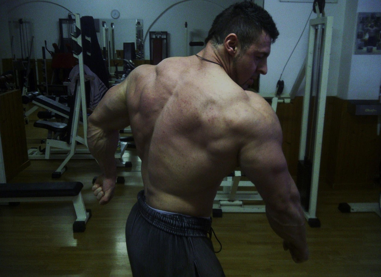 Muscle Lover: Italian bodybuilder Fabio Romagnolo