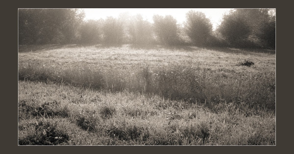 Fotobeeld: Ochtendnevel