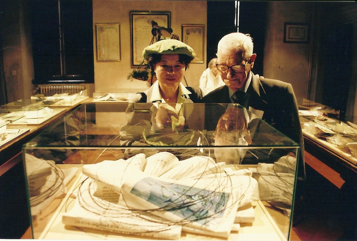 I lavori artistici di Hey Sug Jang: Commento dell'autrice su "Ali dell ...