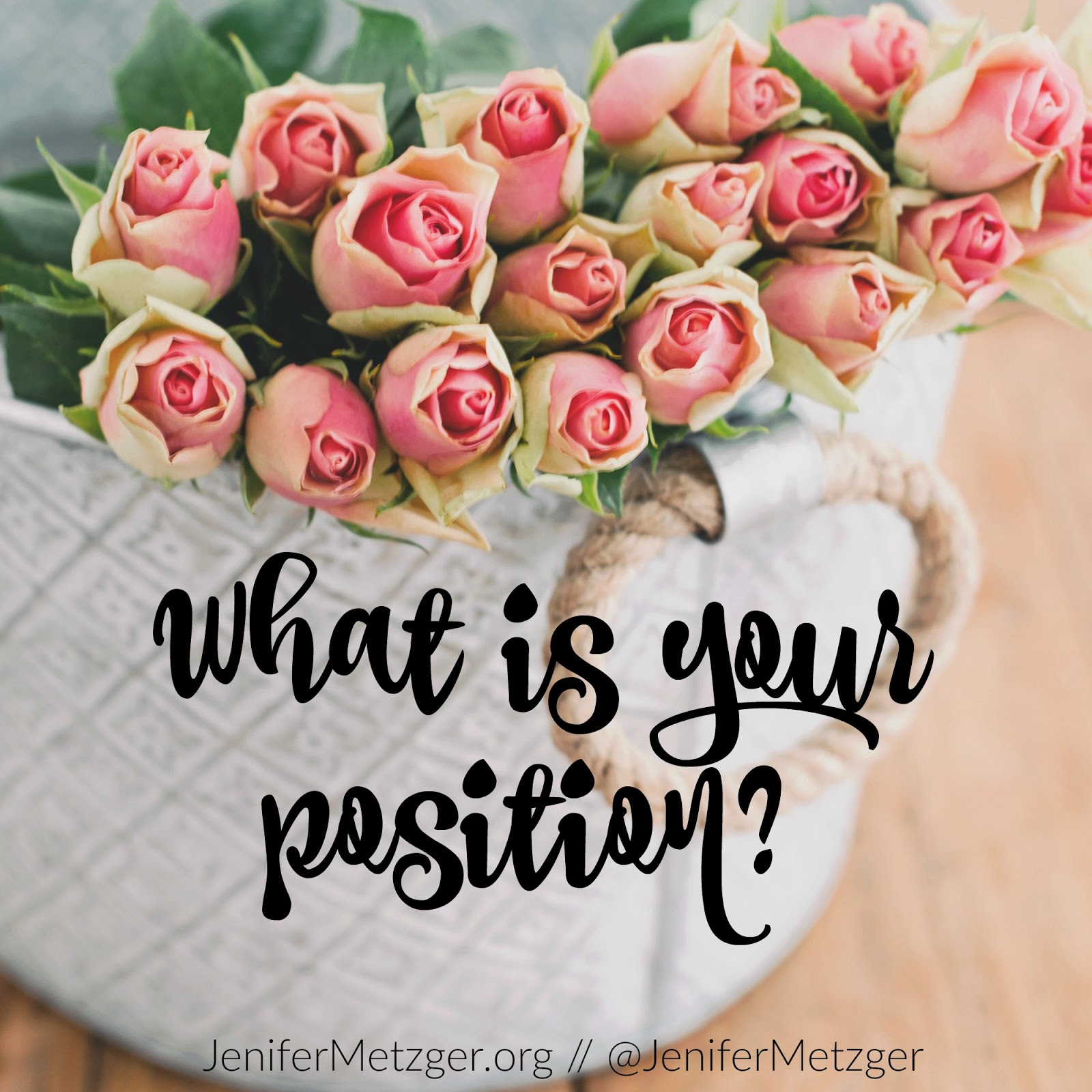 Jenifer Metzger : What Is Your Position?