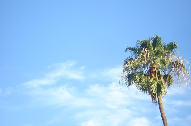 A Friend Loves at All Times: ~Random Nature Pics~