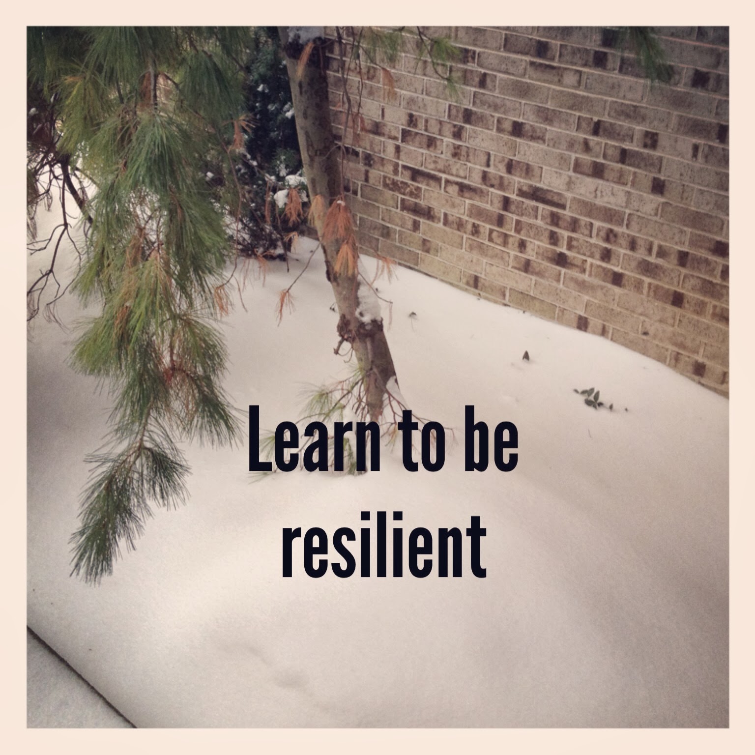 Learn to be resilient
