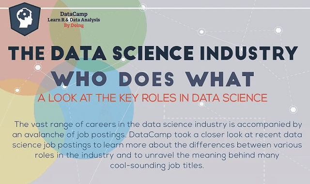 Who Does What in the Data Science Industry #Infographic - Visualistan
