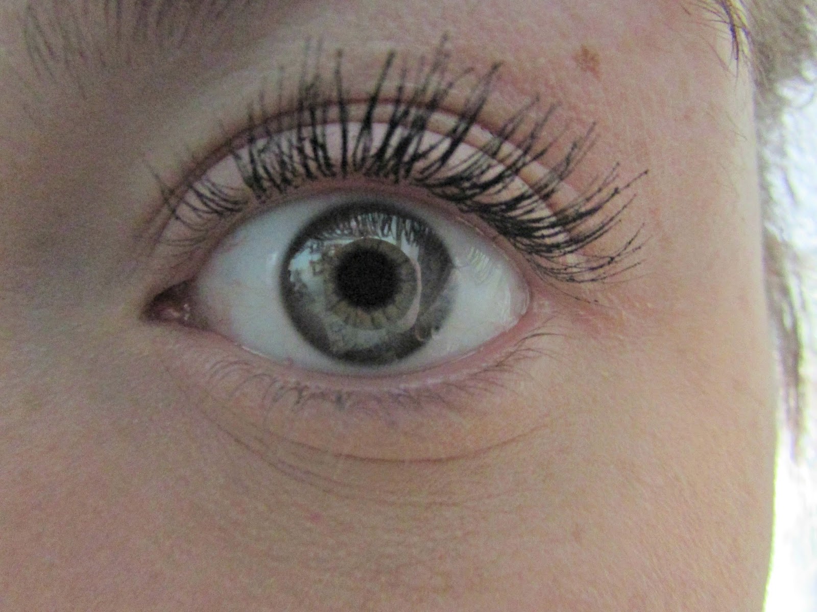 A Dash of Dayna: My Three Step Process for Achieving Glam Lashes