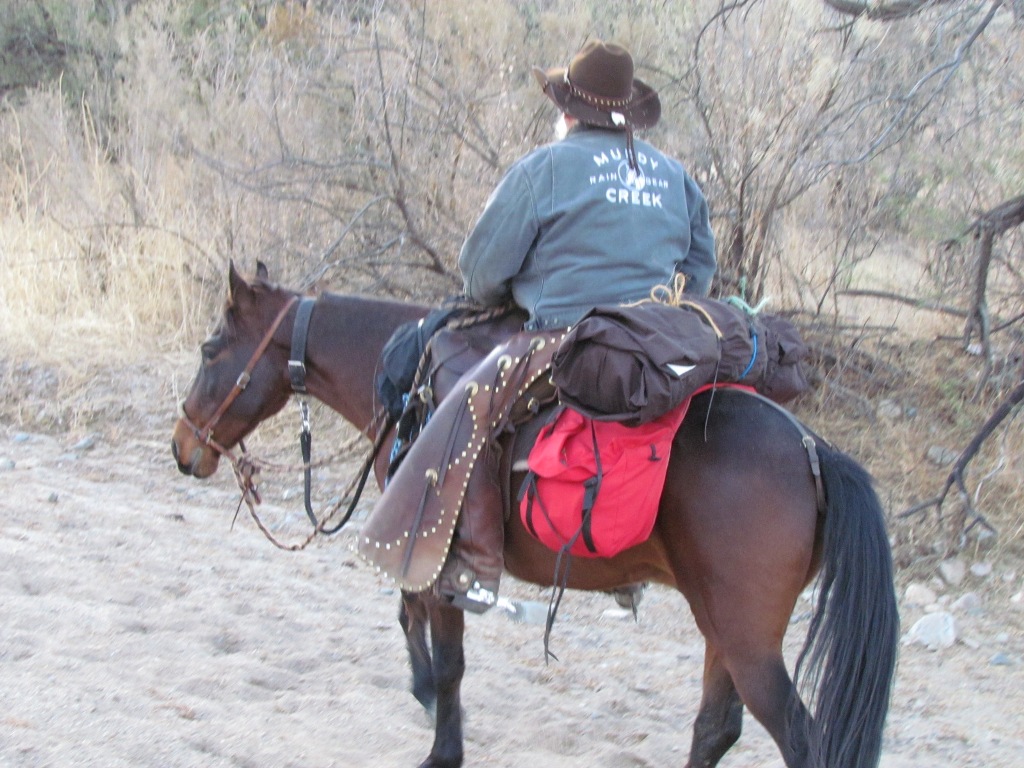 The Life and Times of Nugene and Bobe: Day one of Mt. Lemmon Pack trip