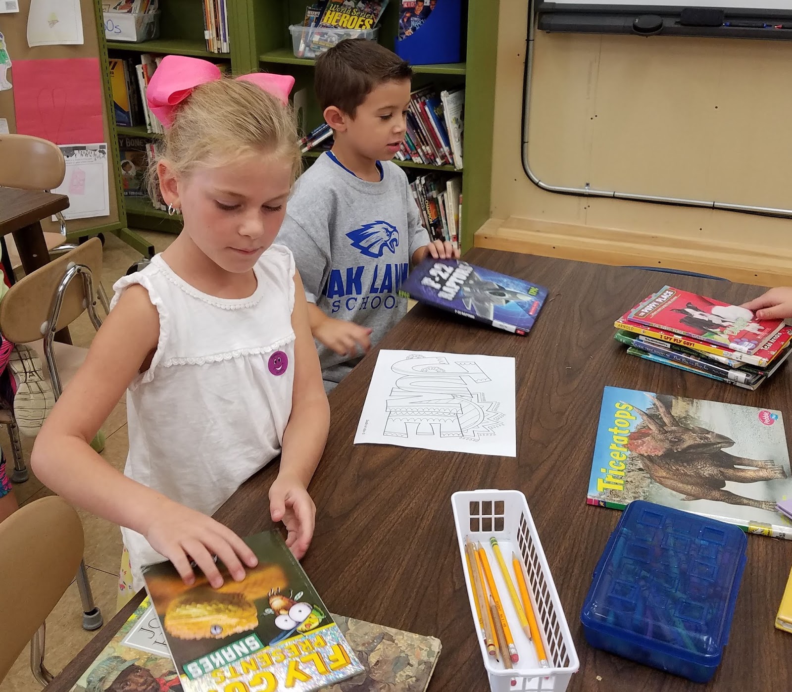 Oak Lawn Library Goings-On: Sorting Books with Grade 1