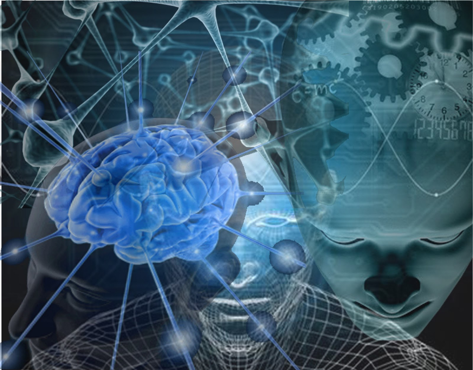 violetas: LA MENTE HUMANA