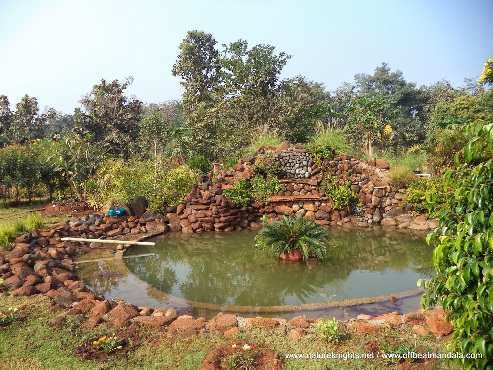 Nature Knights: A Days Trip to Eco-Village