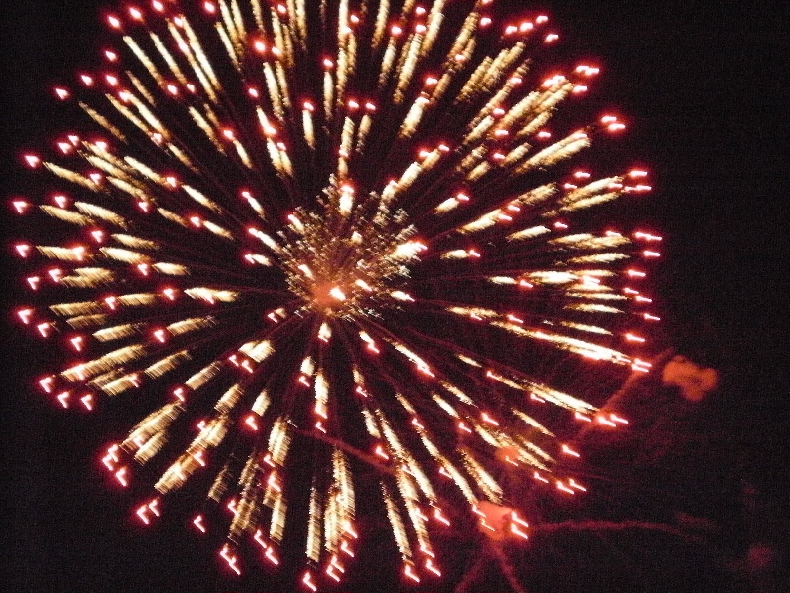 "The 'Right' Solutions" by Christopher Canarelli: America: the 236 Year ...