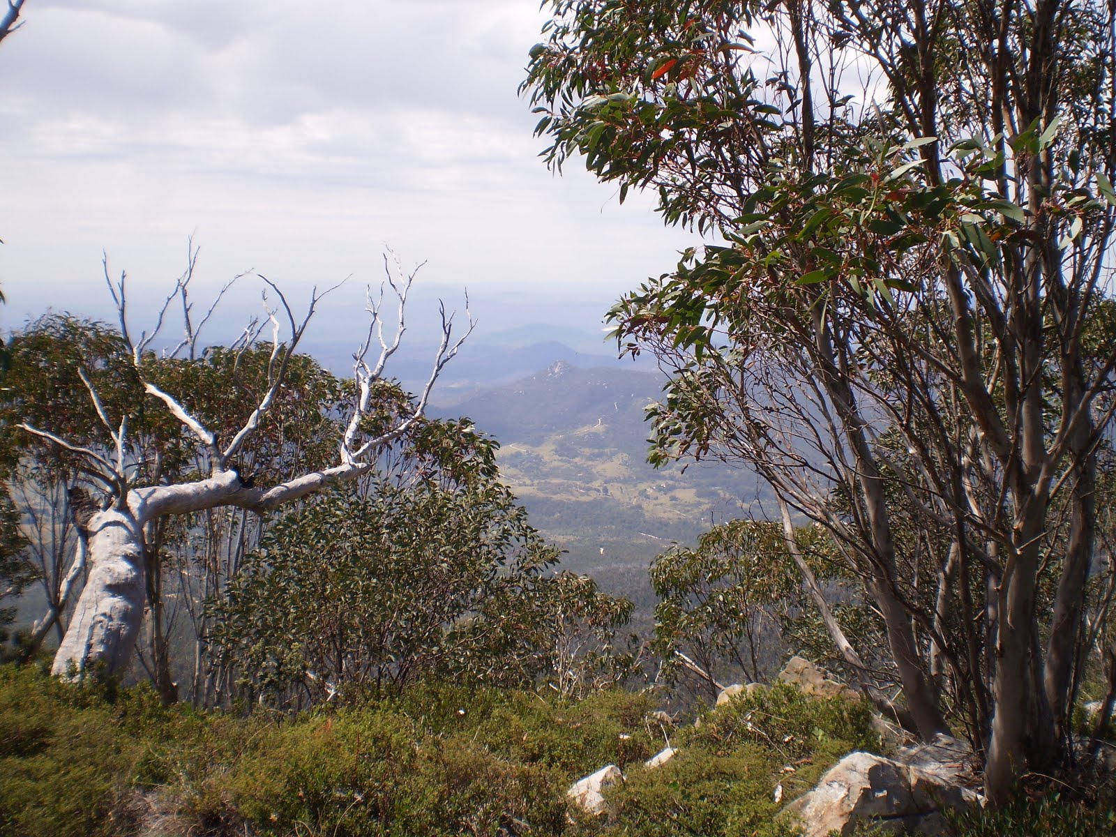 Phil's Bushwalking Blog: Tidbinbilla Nature Reserve: Tidbinbilla Peak
