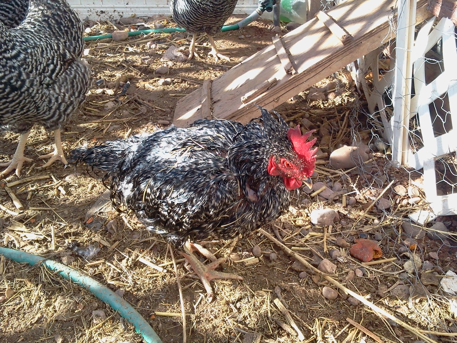 Life Comes At You Fast: Opportunities for Patience