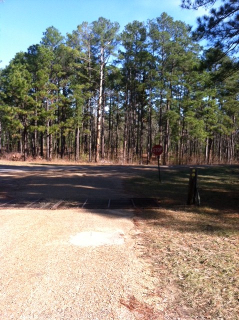 The Solo Runner - One Guy's Ultra-Running Adventures: A Guide To ...