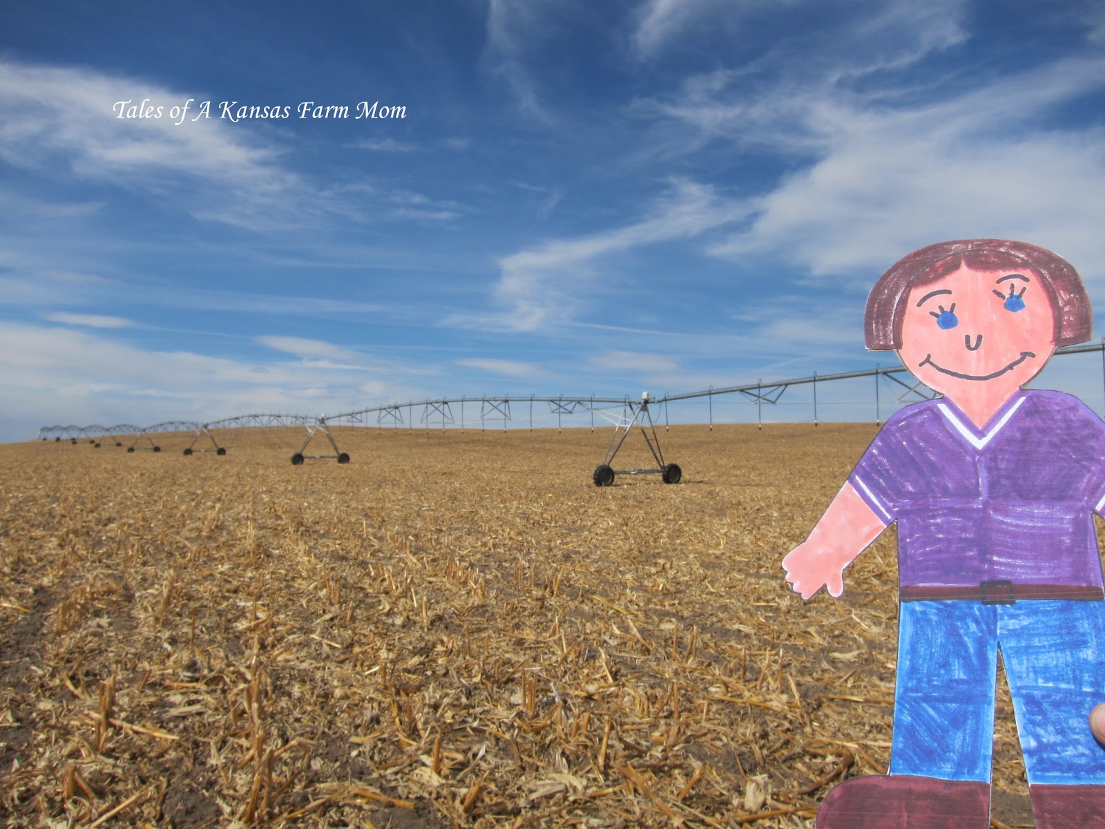 Tales of a Kansas Farm Mom: Flat Aggie Visits a Nebraska Farm